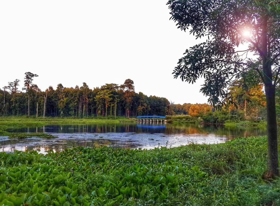 Betana wetland - MC5J+PR8, Belbari 56600, Nepal - Mero Rating