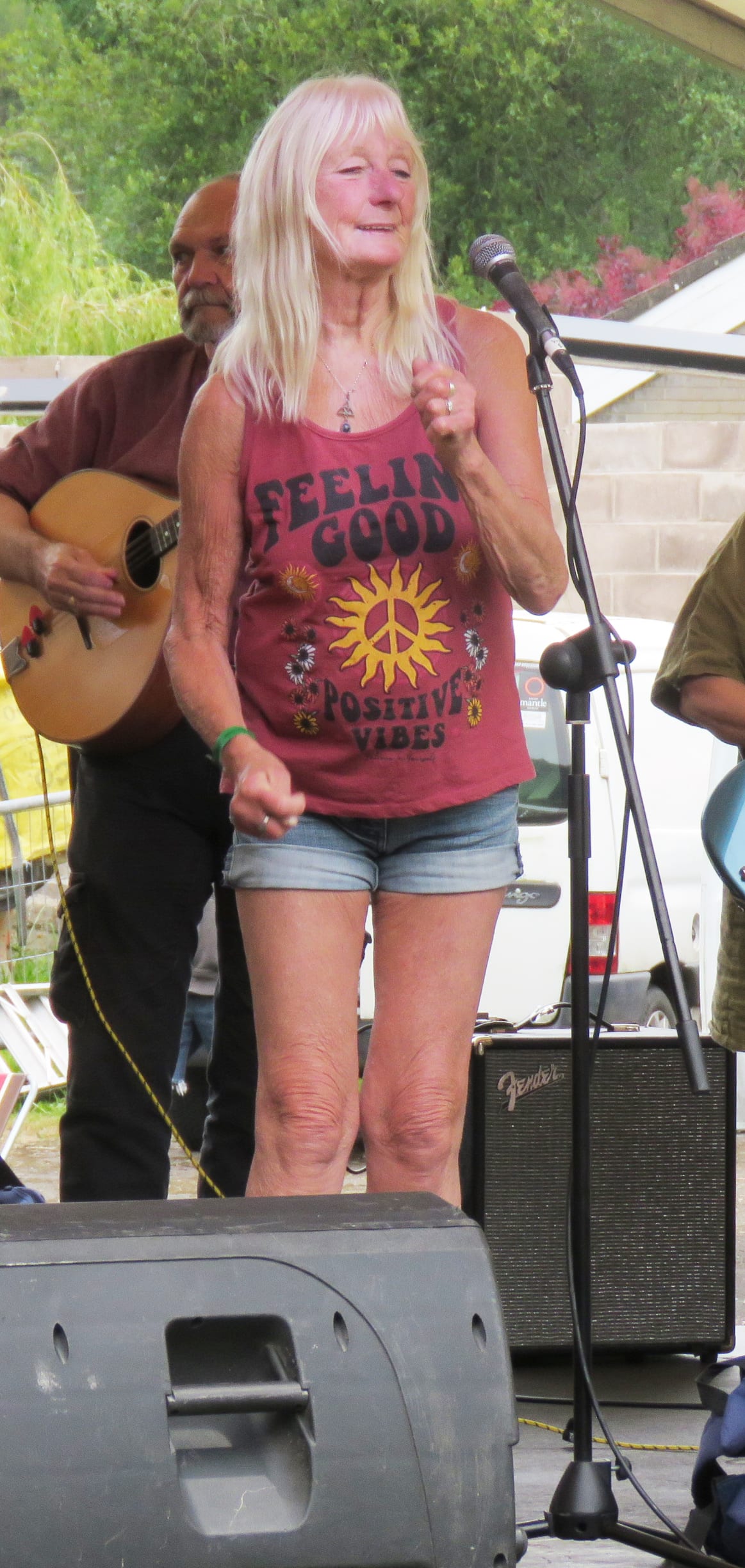 Folk on the Lawn