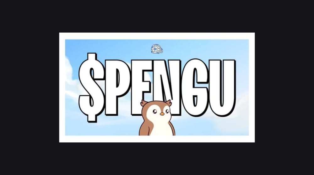 Abstract Ecosystem | Pluid Console