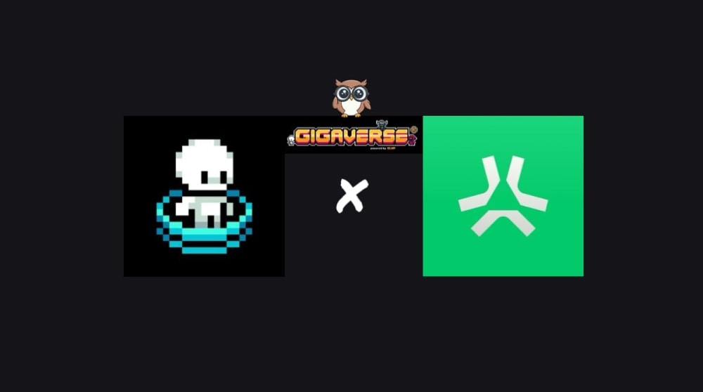 Abstract Ecosystem | Pluid Console