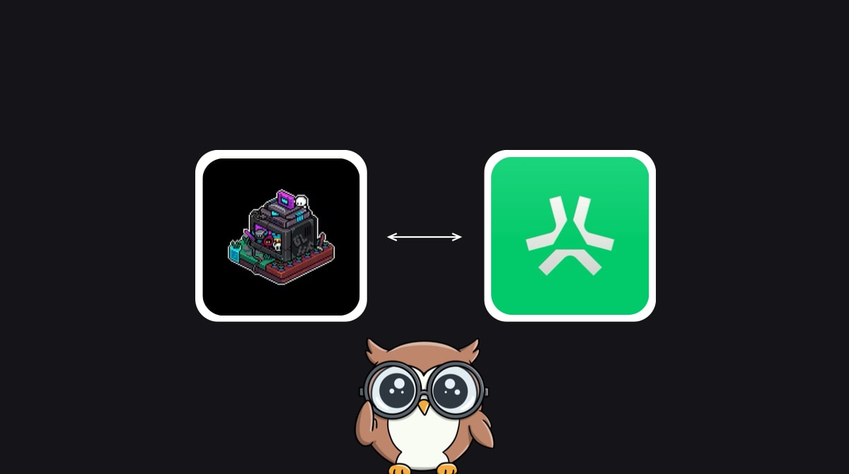 Everything we learnt from the gigaverse mint — and what it | Pluid Console