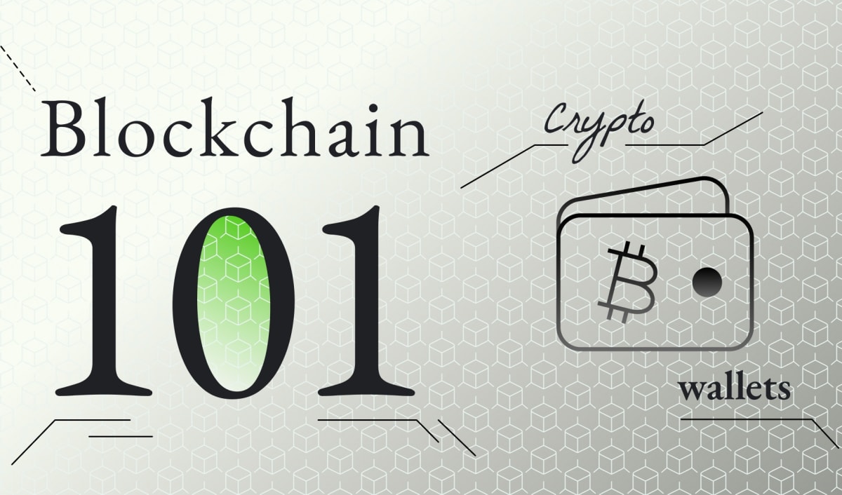 Blockchain 101: Crypto Wallets Explained | Pluid Console