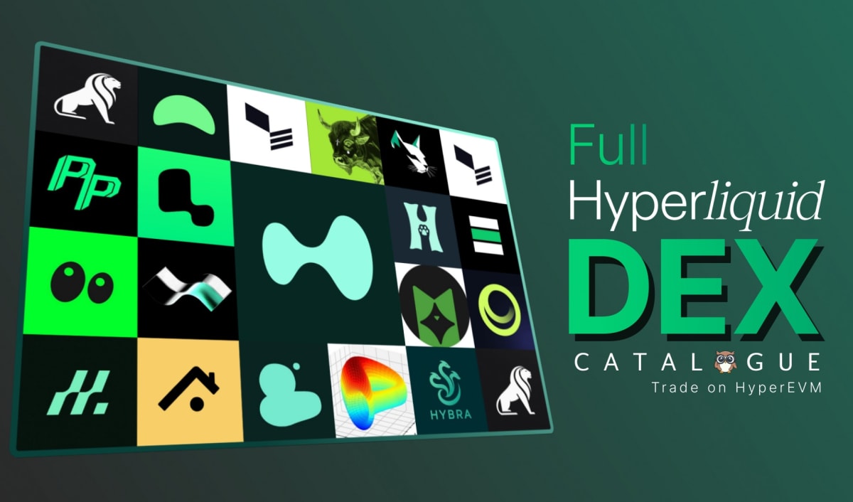 Every Single DEX on HyperLiquid, Ranked | Pluid Console