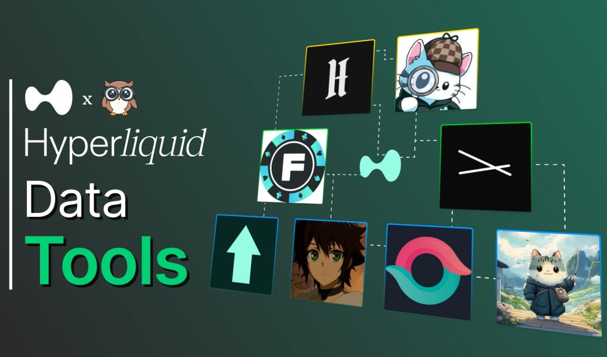 Reading the Chain: The Best Data Tools on HyperLiquid | Pluid Console