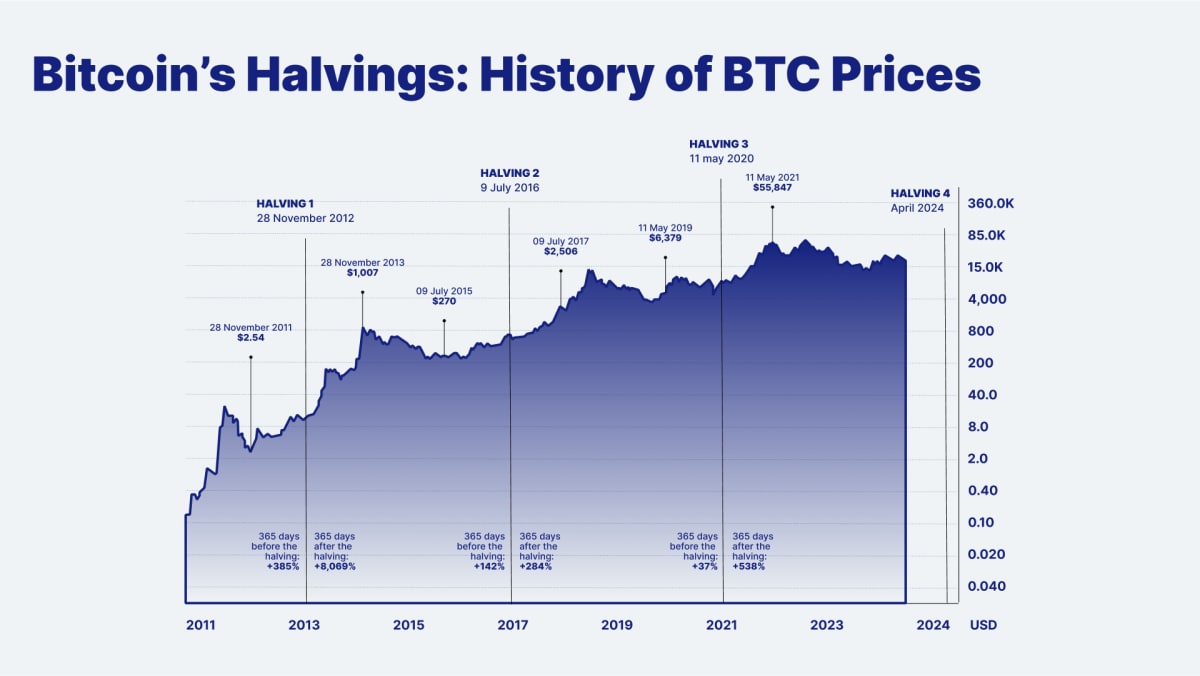 Bitcoin's Value Proposition: The 4-Year Halving Cycle | Pluid Console
