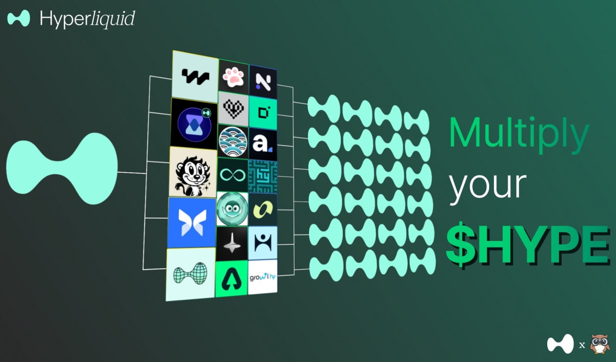 How to Turn Your HYPE Into More HYPE | Pluid Console