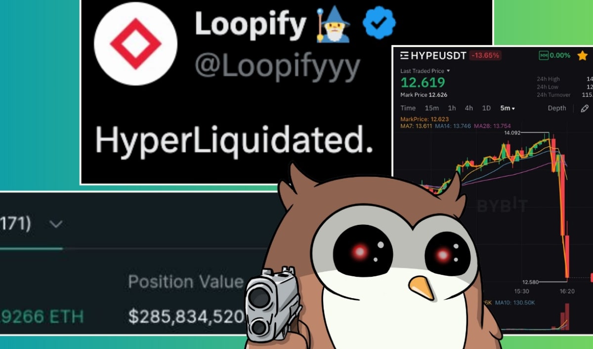 Whale’s $300M ETH Long Liquidation Tanks Hyperliquid HLP f | Pluid Console