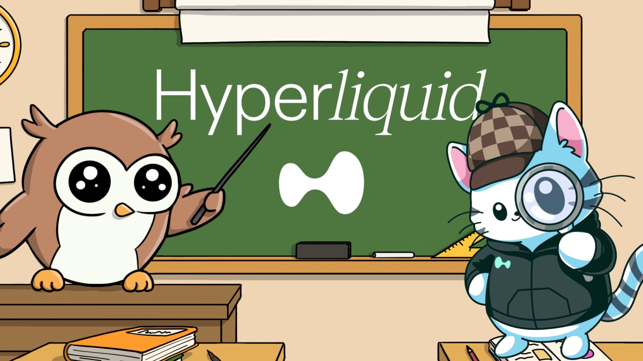 HyperLiquid Ecosystem | Pluid Console