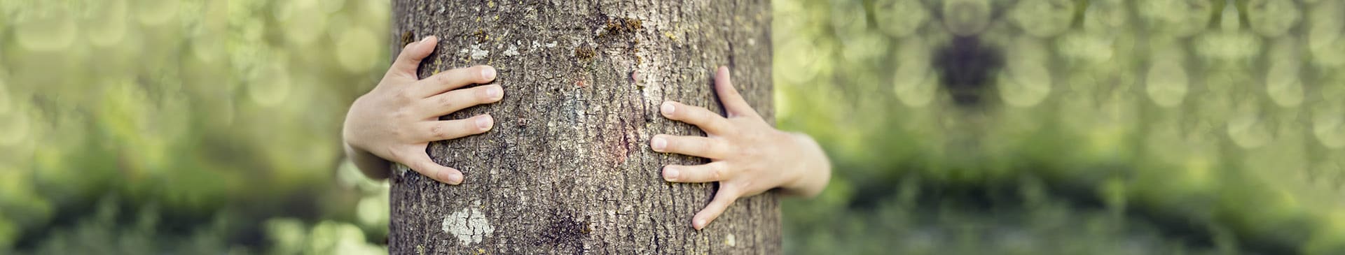 De allereerste treehugger - Yogisan Blog