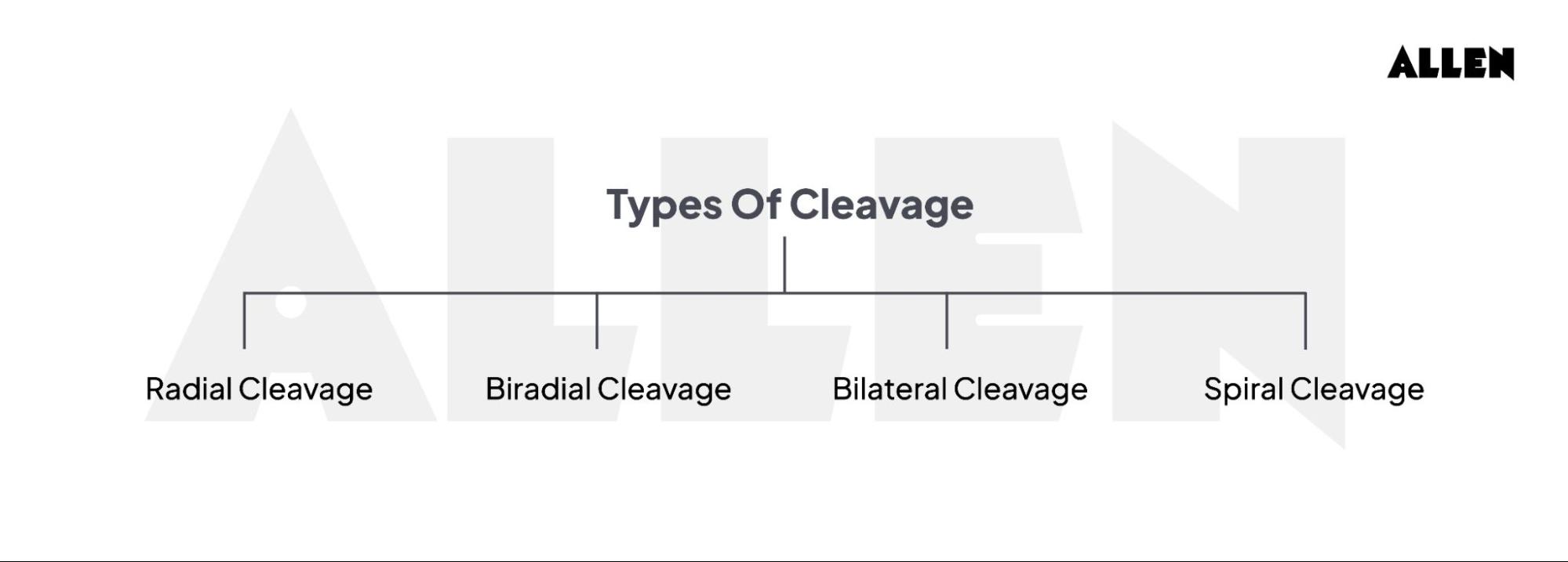 What Is Cleavage Patterns Classification Mechanism What Is Cleavage Patterns Classification Mechanism