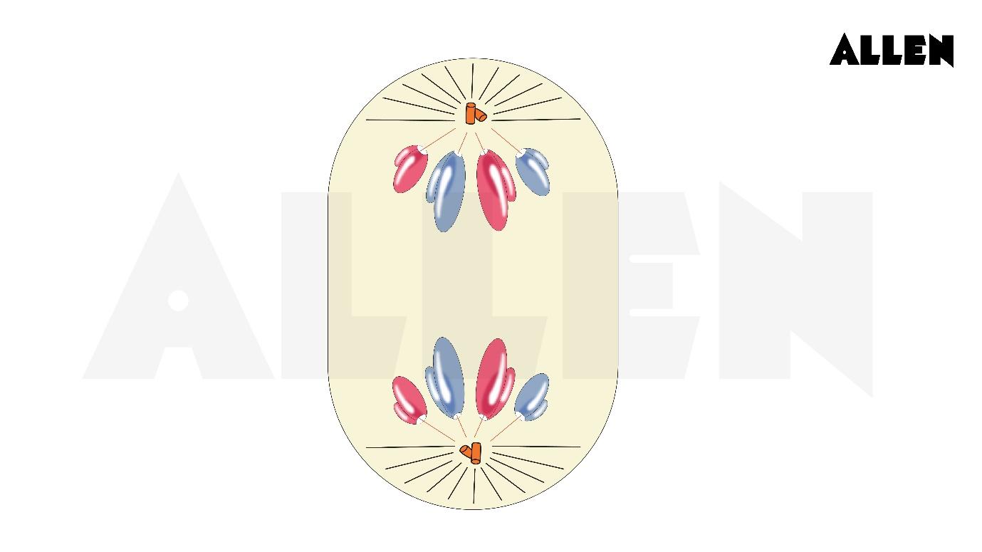 Cell Cycle and Cell Division: Mitosis, Meiosis, Cytokinesis and ...