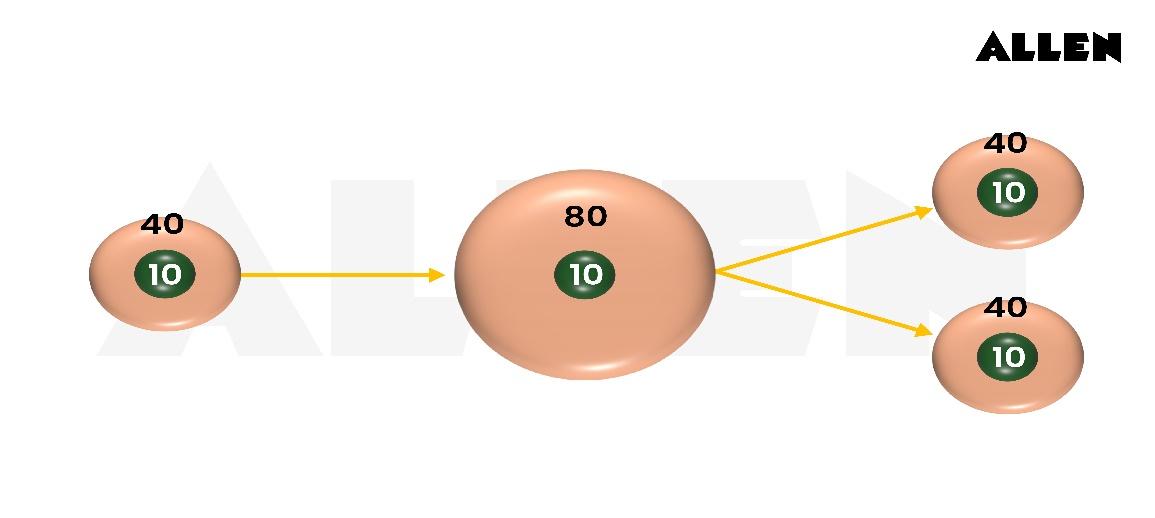 Cell Cycle and Cell Division: Mitosis, Meiosis, Cytokinesis and ...