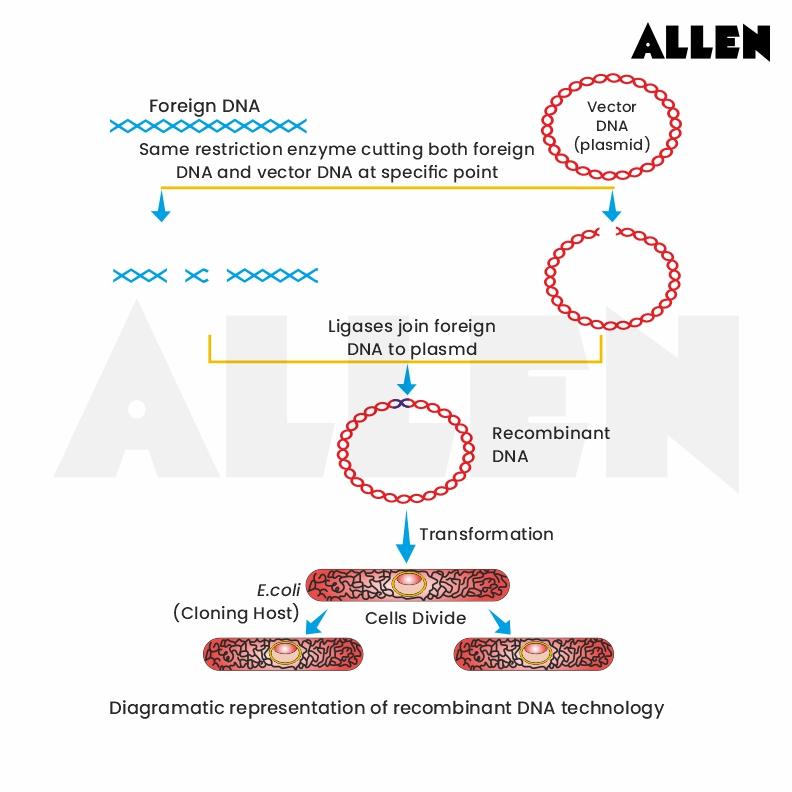 Biotechnology: Tools, Principles and Processes