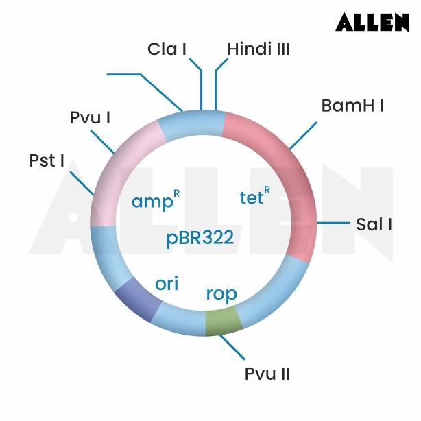 Biotechnology: Tools, Principles and Processes