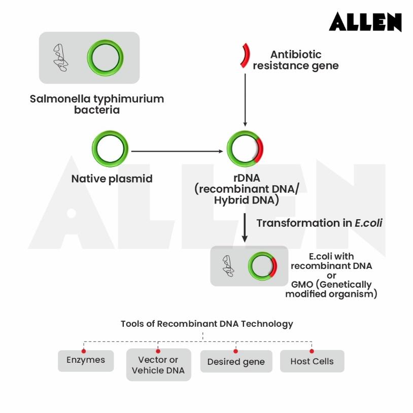 Biotechnology: Tools, Principles and Processes