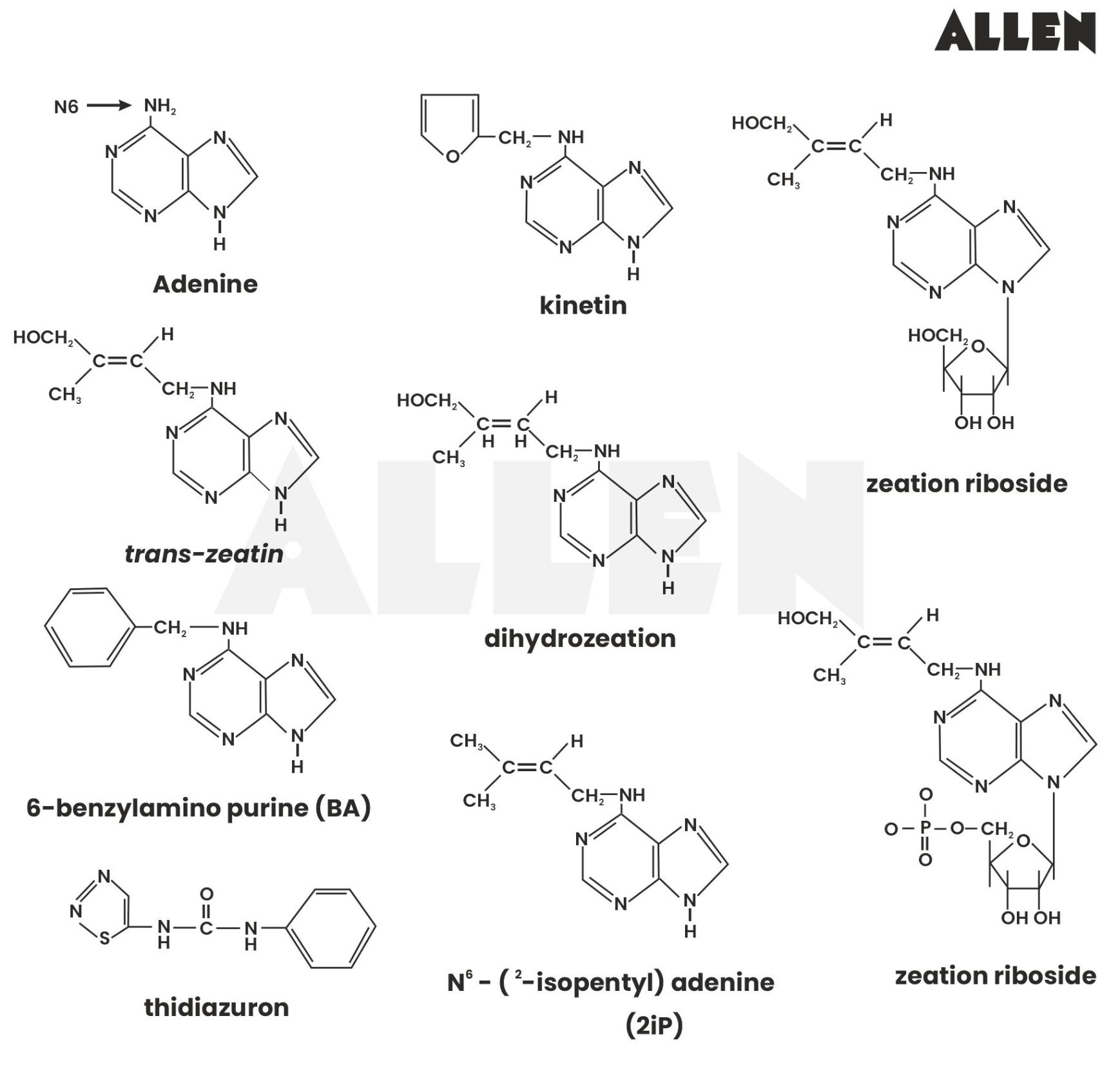 Cytokinins: Synthesis, Types and Physiological Effects