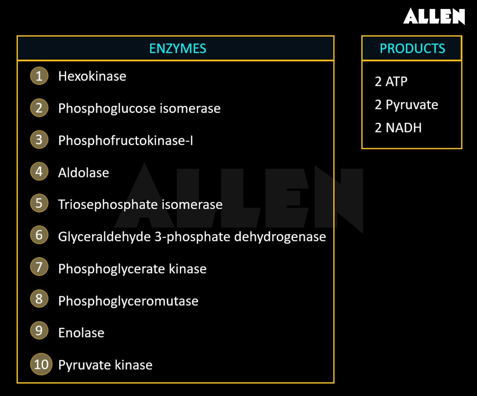 EMP pathway: Steps, Diagram and Significance