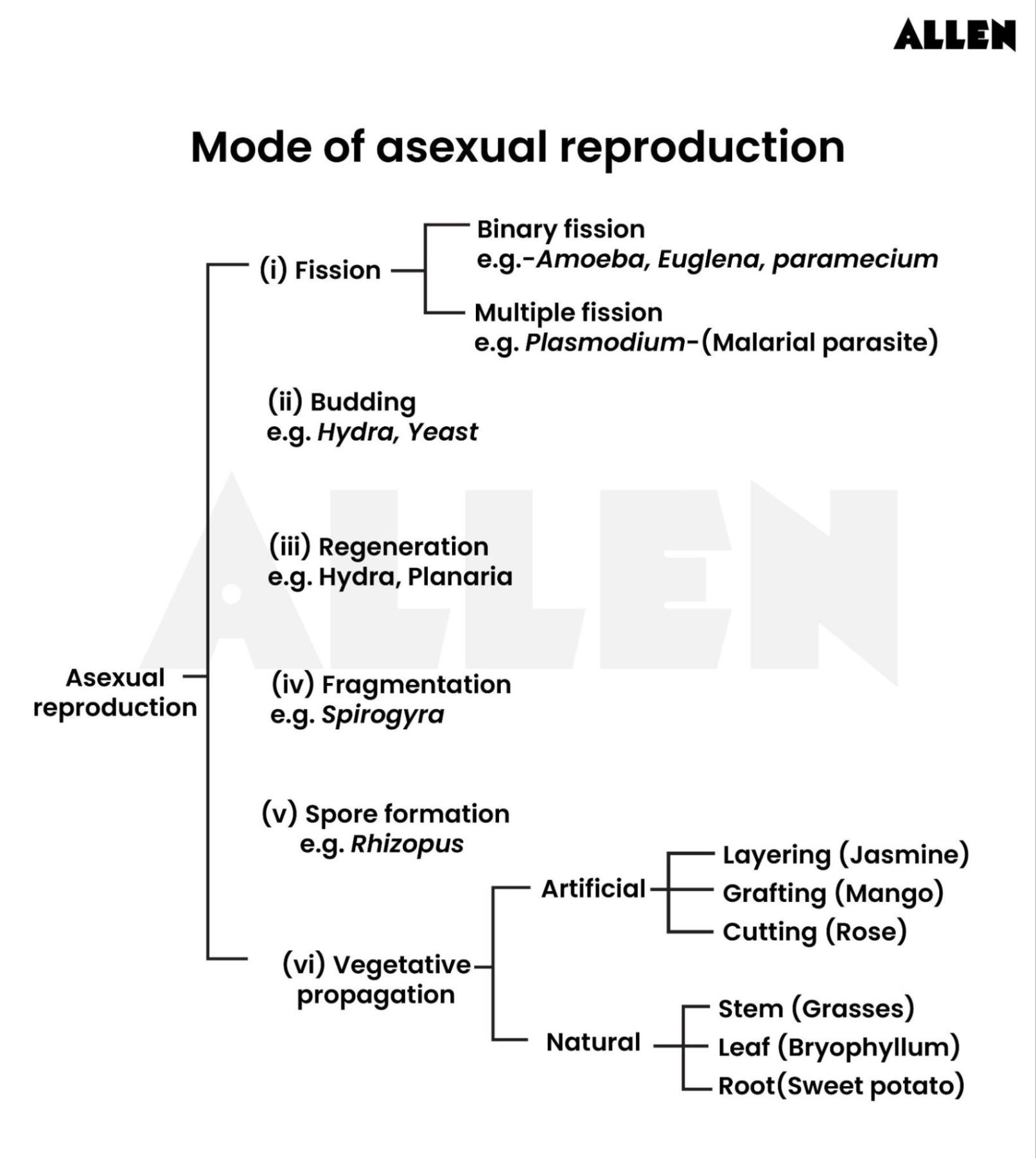 How Do Organisms Reproduce? Class 10 Chapter 7 CBSE Notes