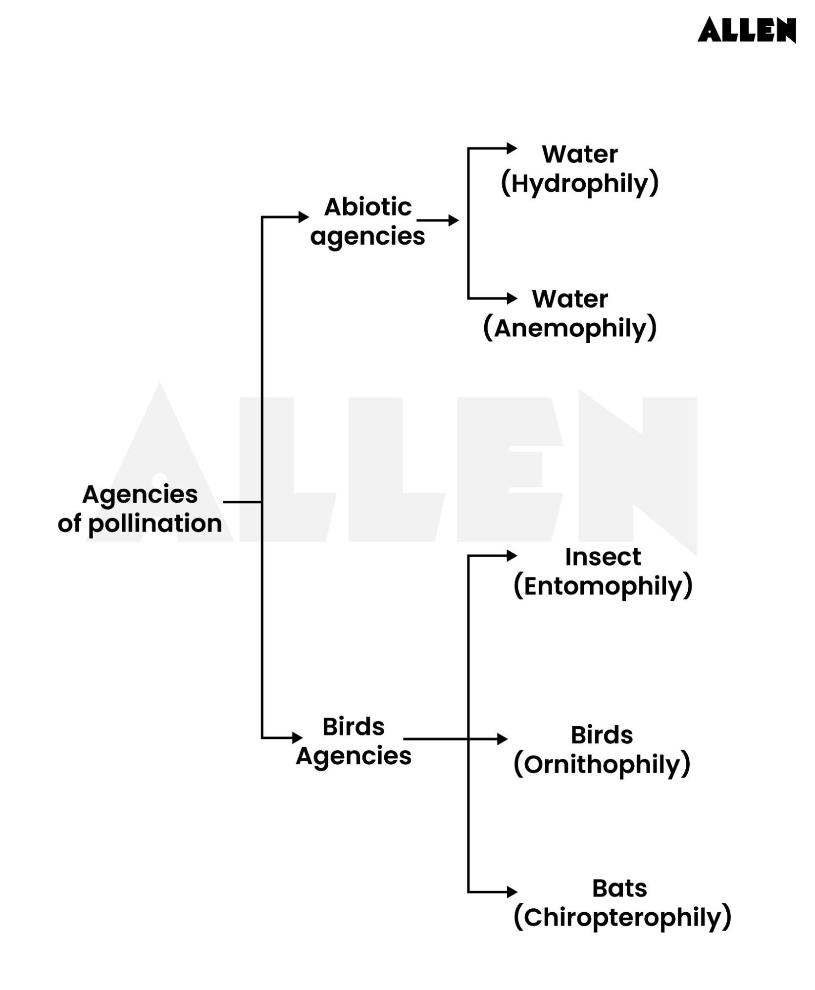 How Do Organisms Reproduce? Class 10 Chapter 7 CBSE Notes