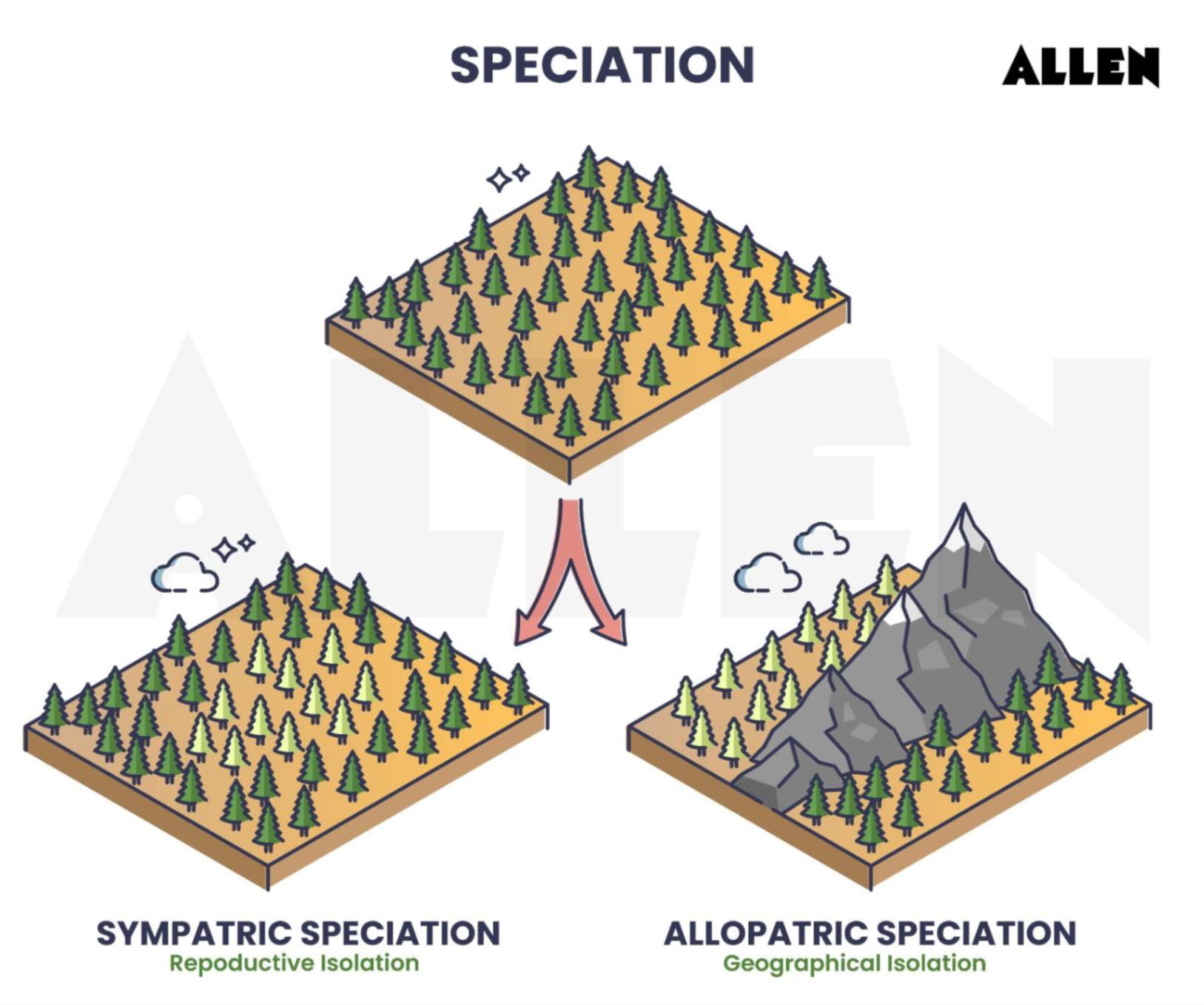 CBSE Notes for Class 10 Science Chapter 8 - Heredity
