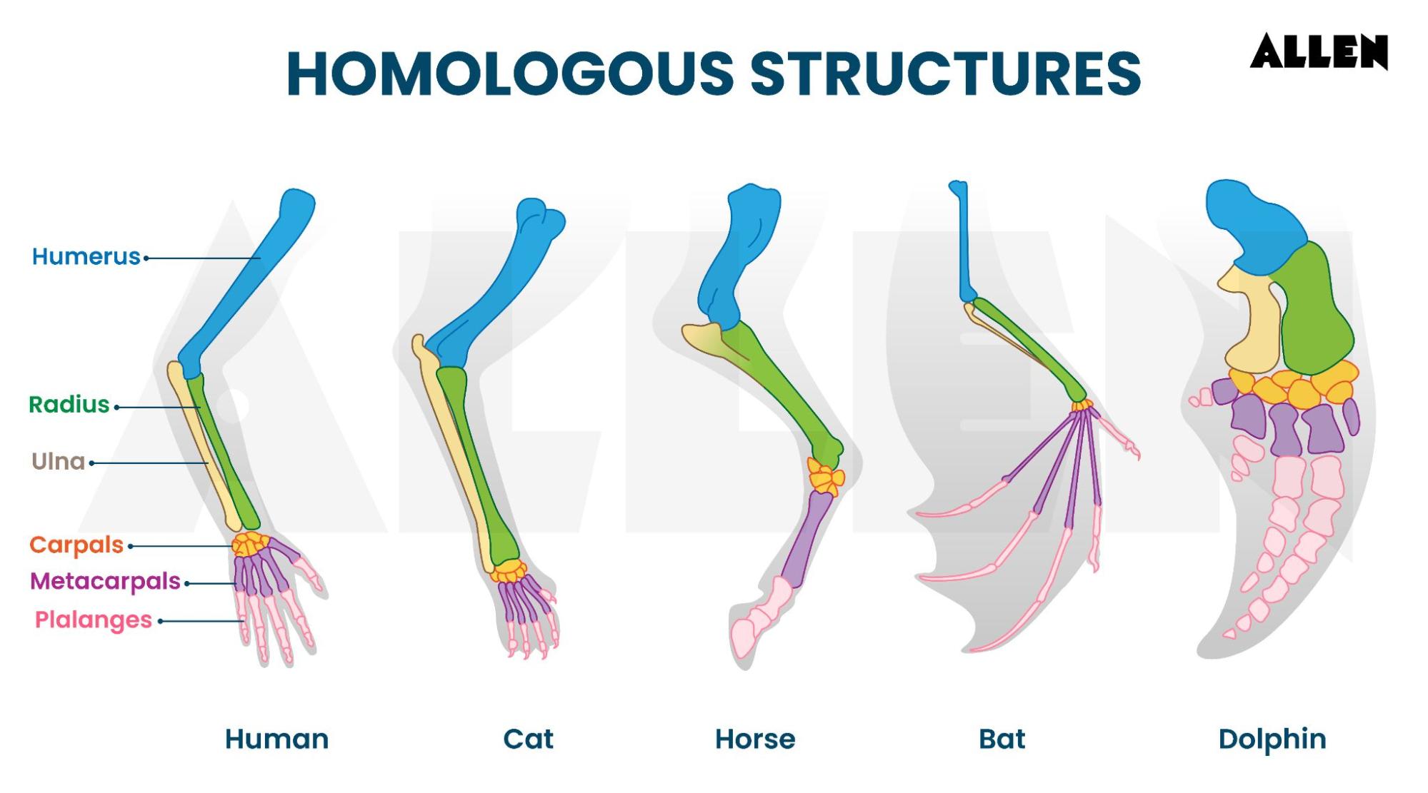 CBSE Notes for Class 10 Science Chapter 8 - Heredity