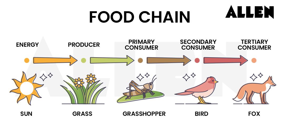 Our Environment - Class 10 Chapter 13 CBSE Notes