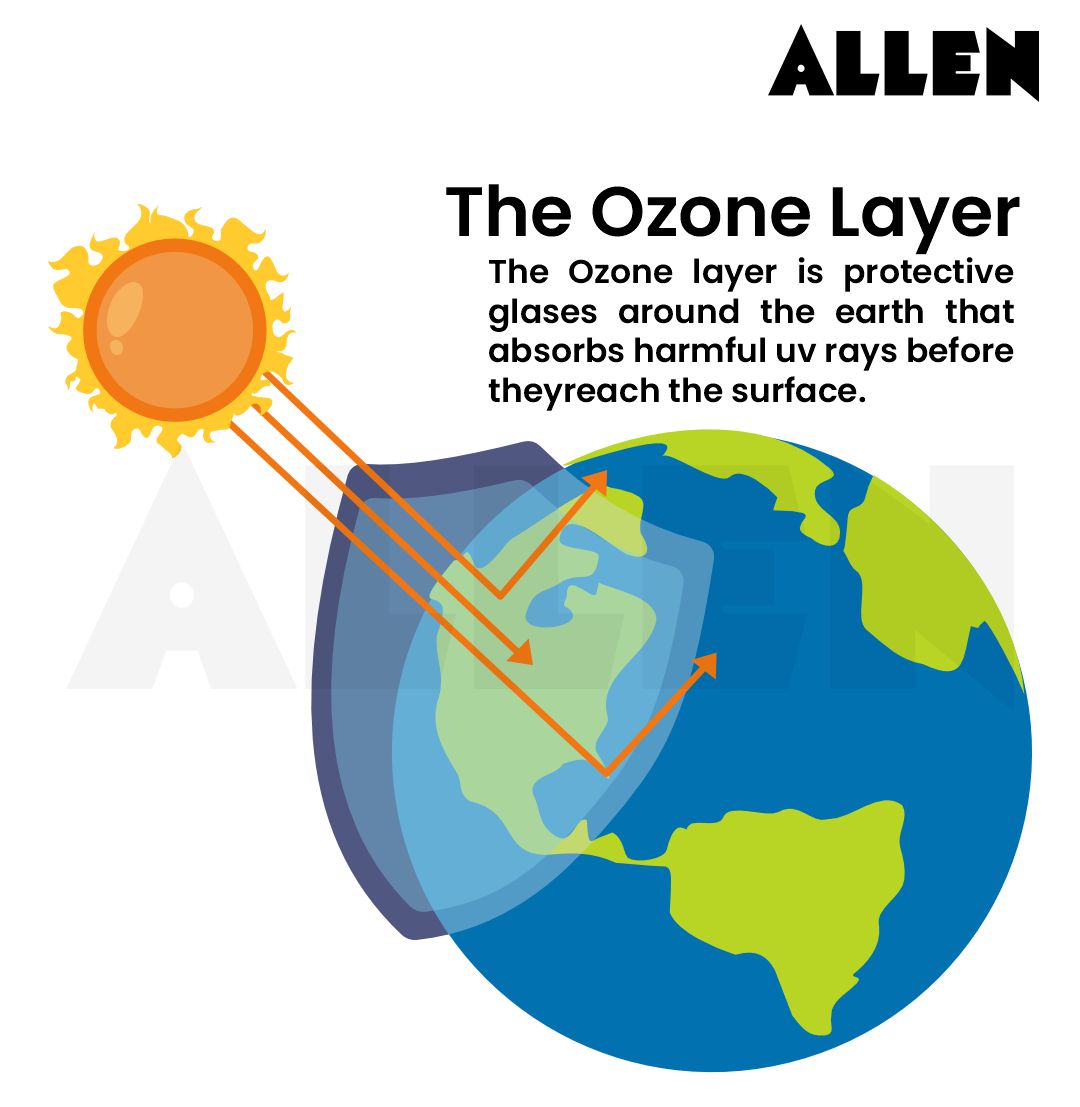 Our Environment - Class 10 Chapter 13 CBSE Notes