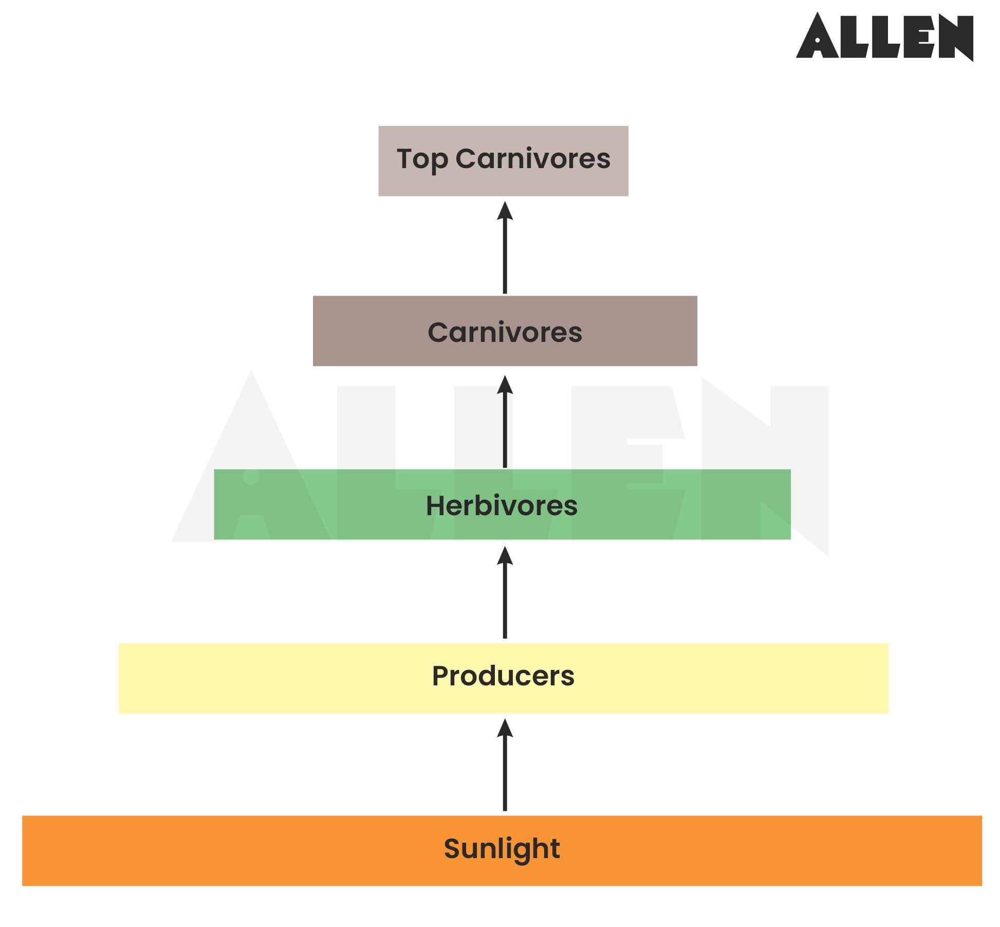 CBSE Class 10 Science Notes Chapter 13 Our Environment PDF