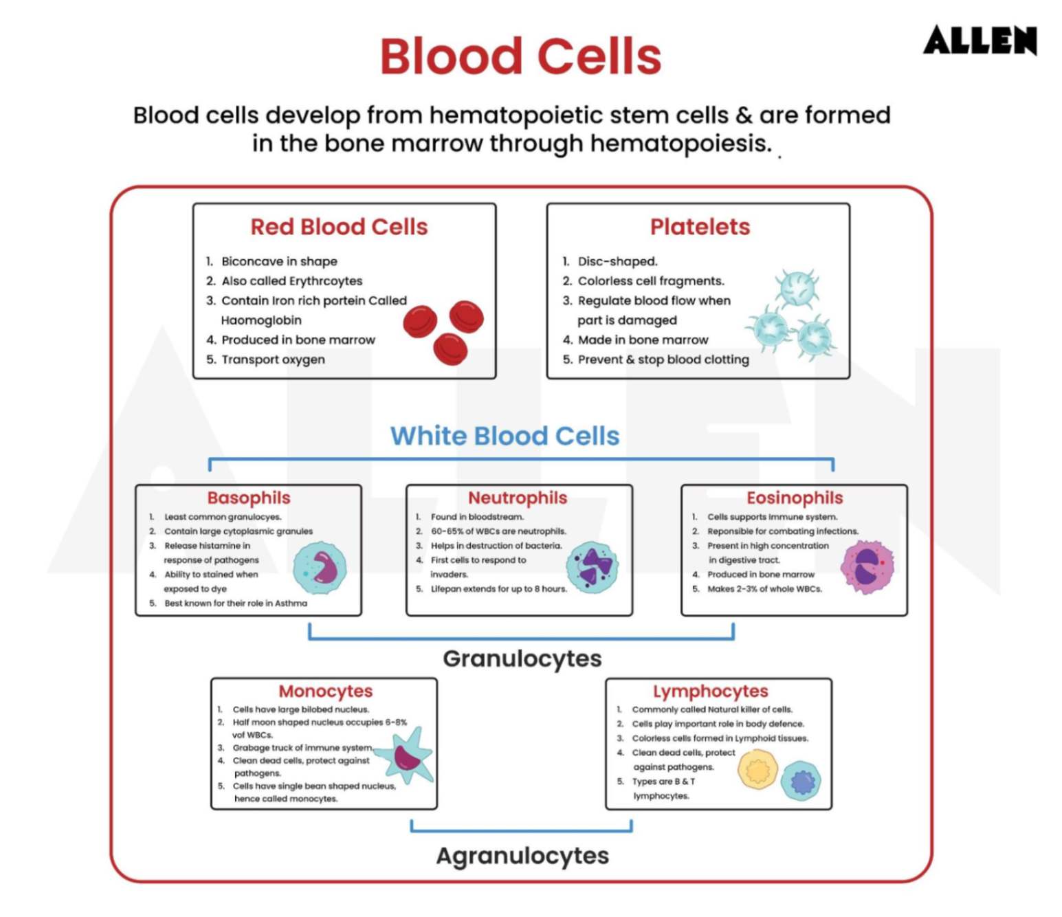Life Processes - Class 10 Chapter 5 CBSE Notes