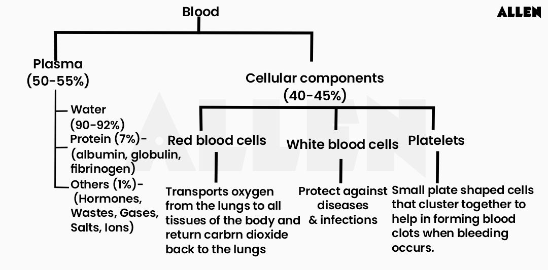 Life Processes - Class 10 Chapter 5 CBSE Notes