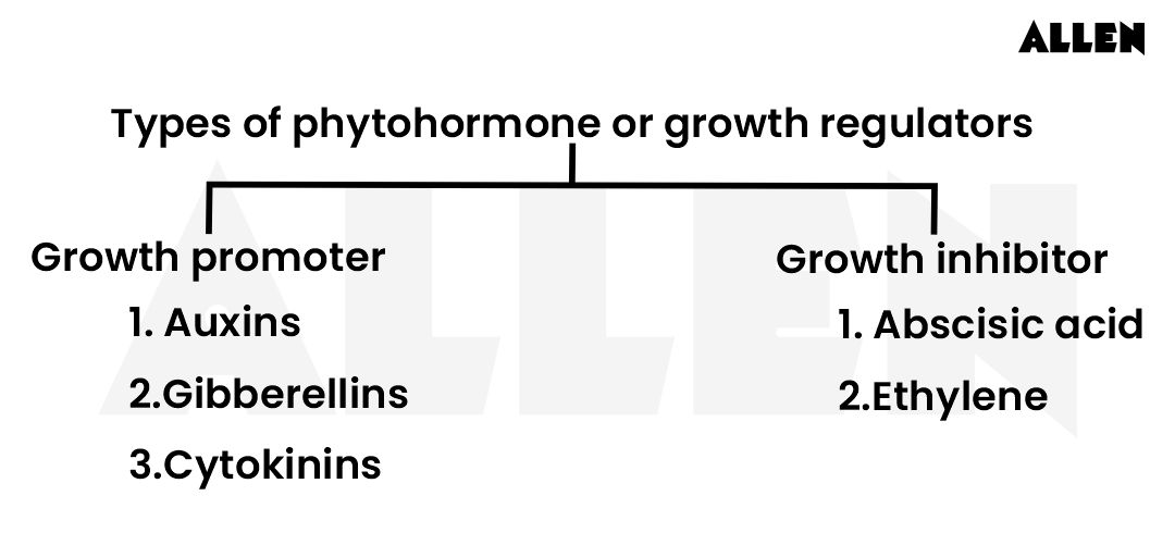 Understand Control and Coordination in Living Organisms