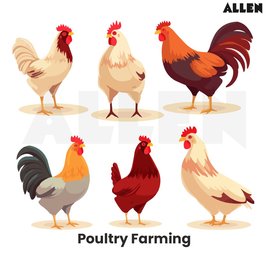 CBSE Notes for Class 8 Science Chapter 1 – Crop Production and Management