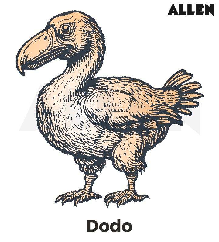 Conservation of Plants and Animals - Class 8 Chapter 5 CBSE Notes