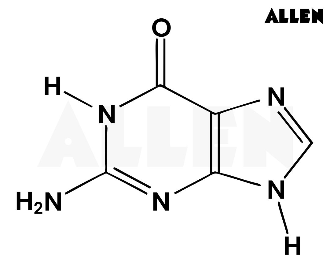 Guanine: Structure, Properties, Synthesis and Functions