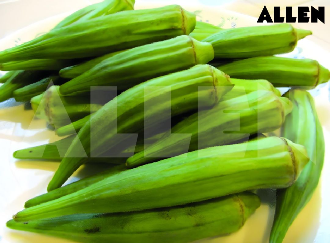 Malvaceae: Classification, General Classification and FAQs