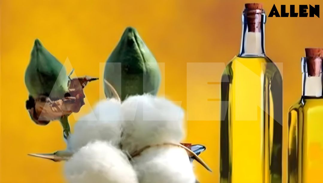 Malvaceae: Classification, General Classification and FAQs