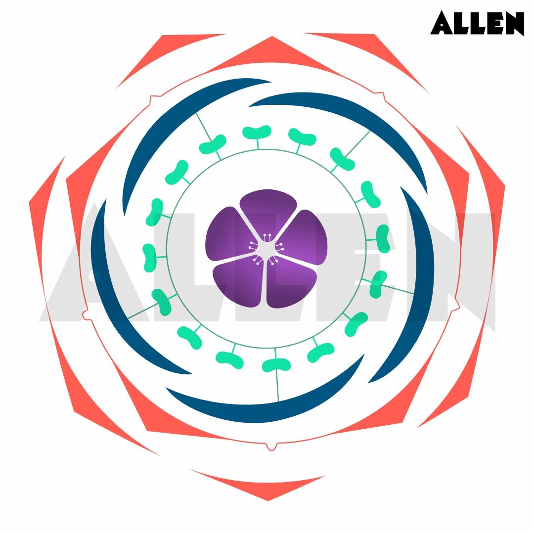 Malvaceae: Classification, General Classification and FAQs