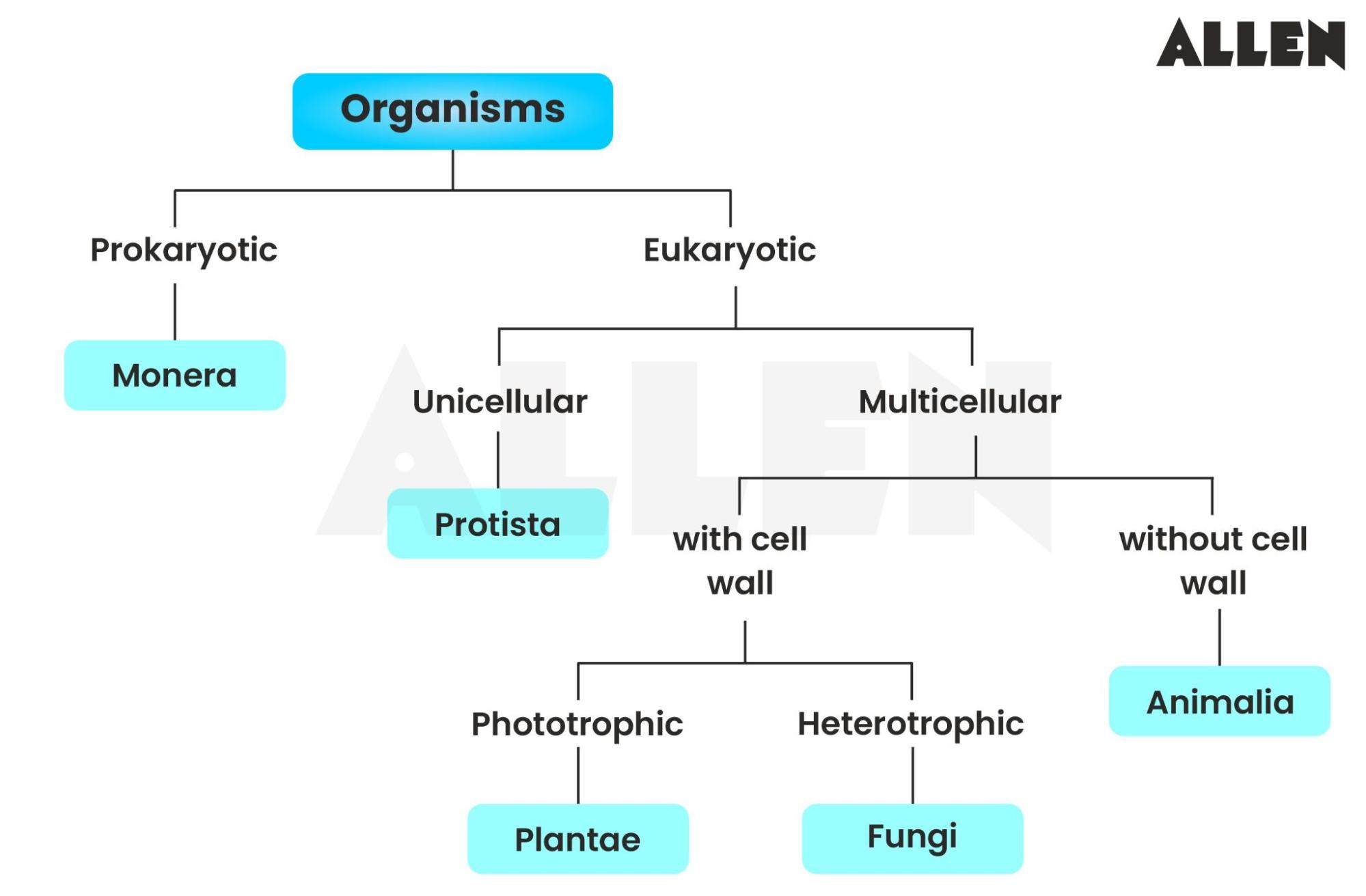 Bacteria Kingdom Classification Chapter 2 Biological Classification