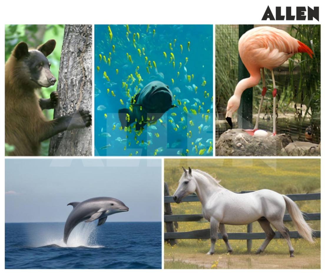 Five Kingdom Classification: Basis, Merits and Demerits and Characteristics