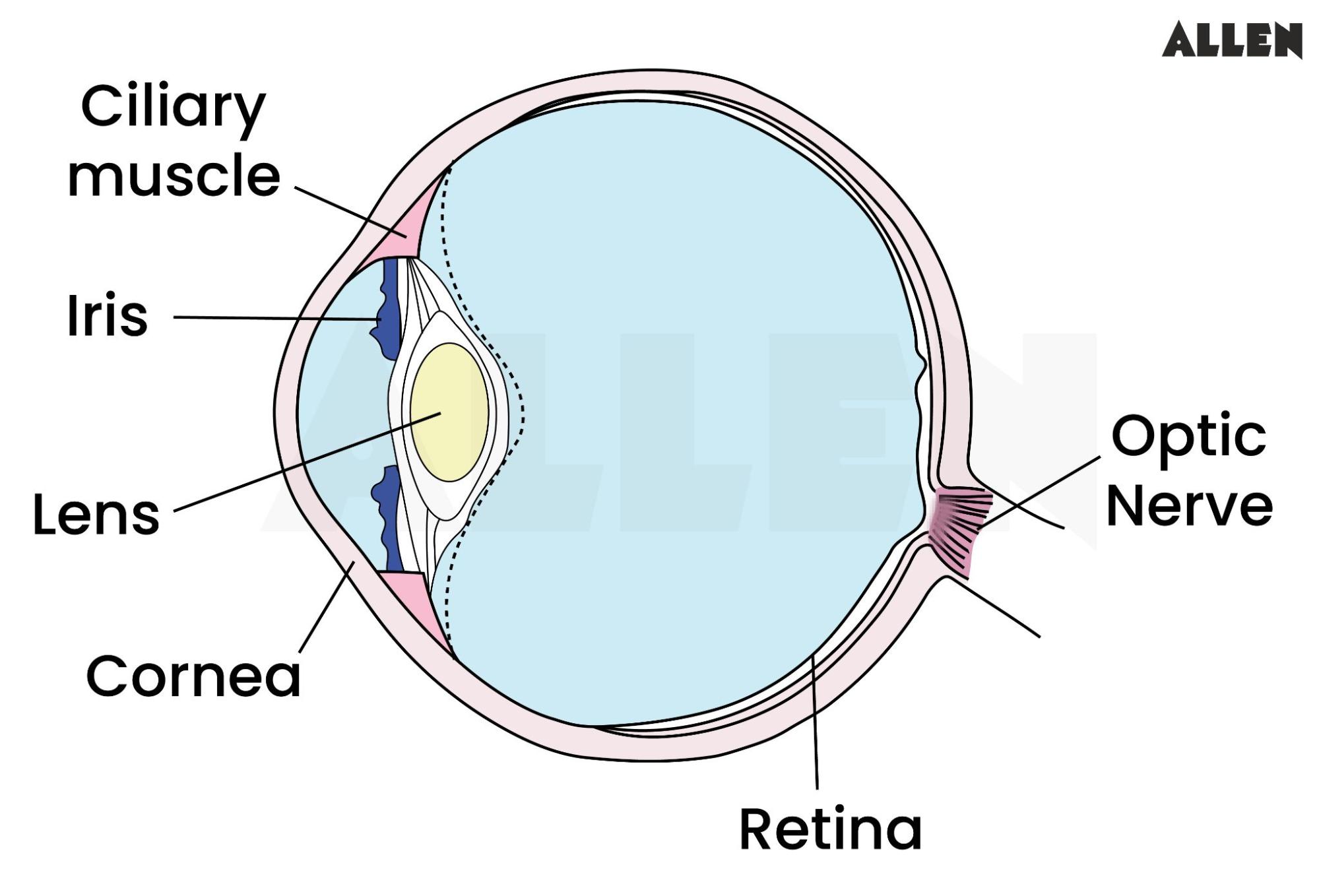 Understanding Light, Key Concepts and its Properties