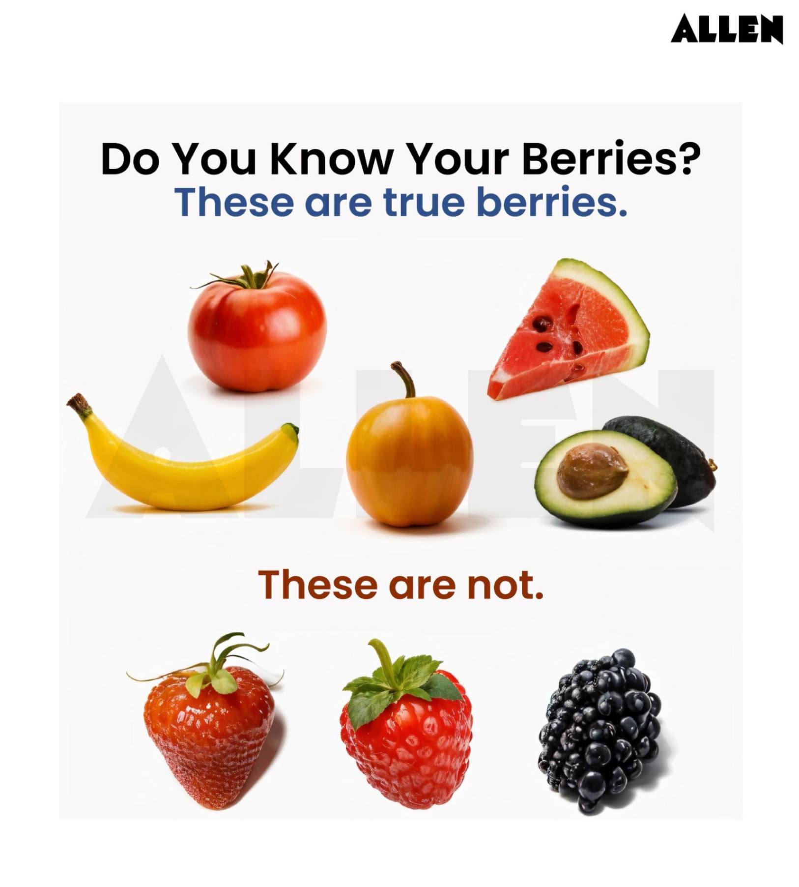 True Fruit Classification and FAQs