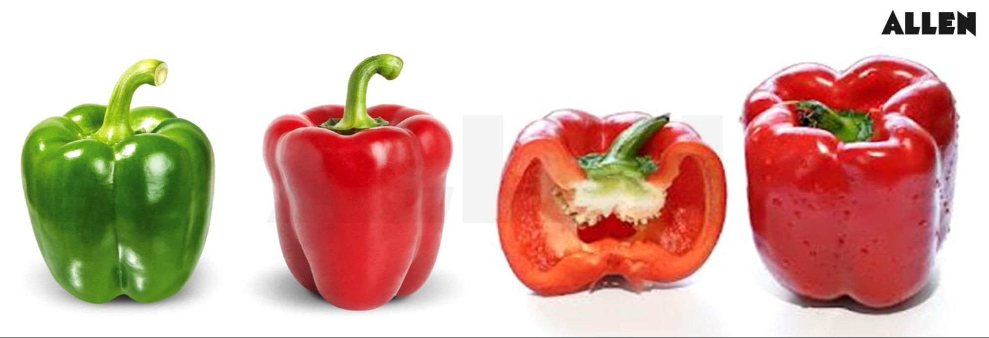 True Fruit, Classification and FAQs