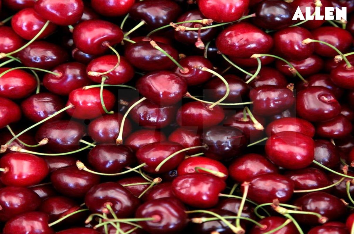 True Fruit, Classification and FAQs