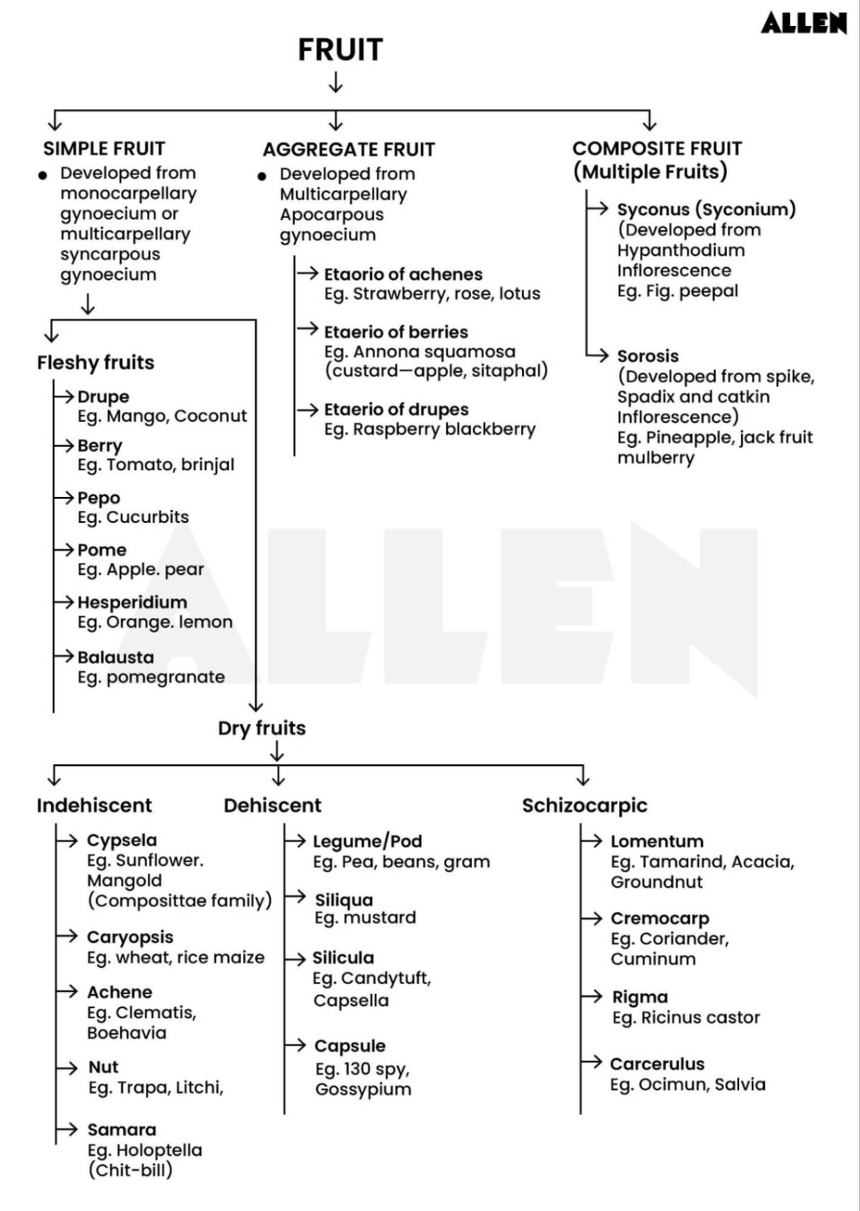 True Fruit, Classification and FAQs