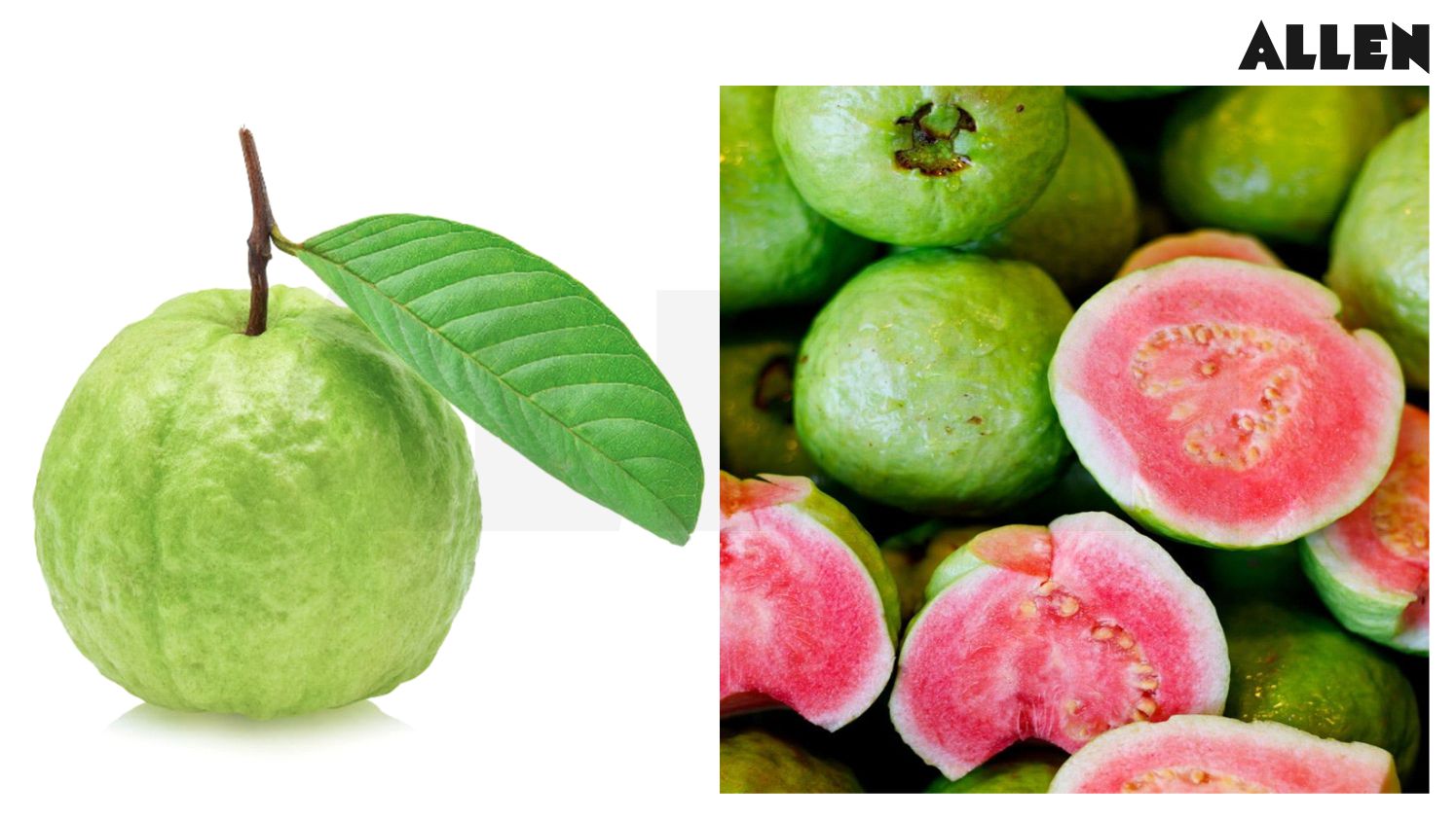 True Fruit, Classification and FAQs