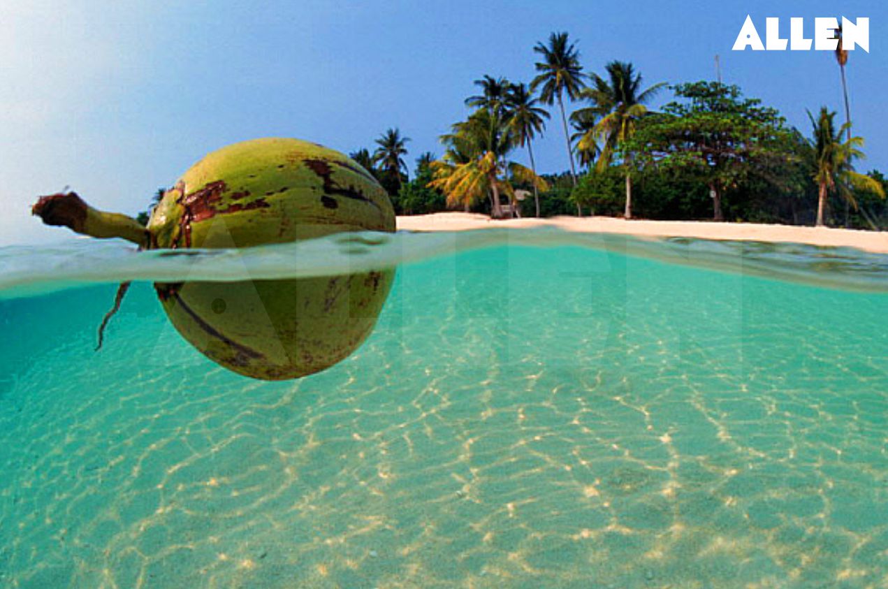 True Fruit, Classification and FAQs