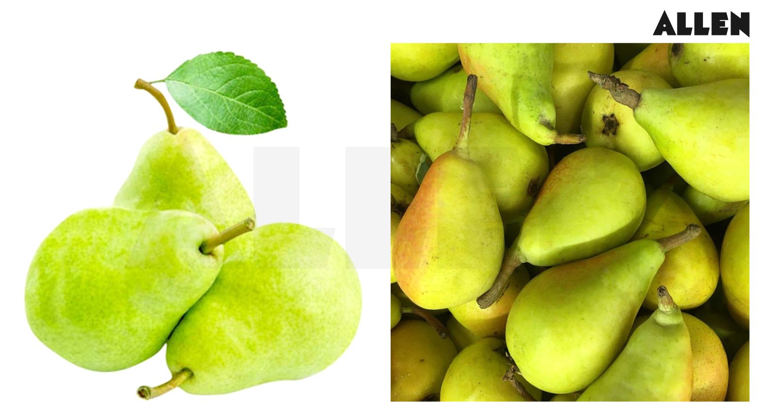 True Fruit, Classification and FAQs