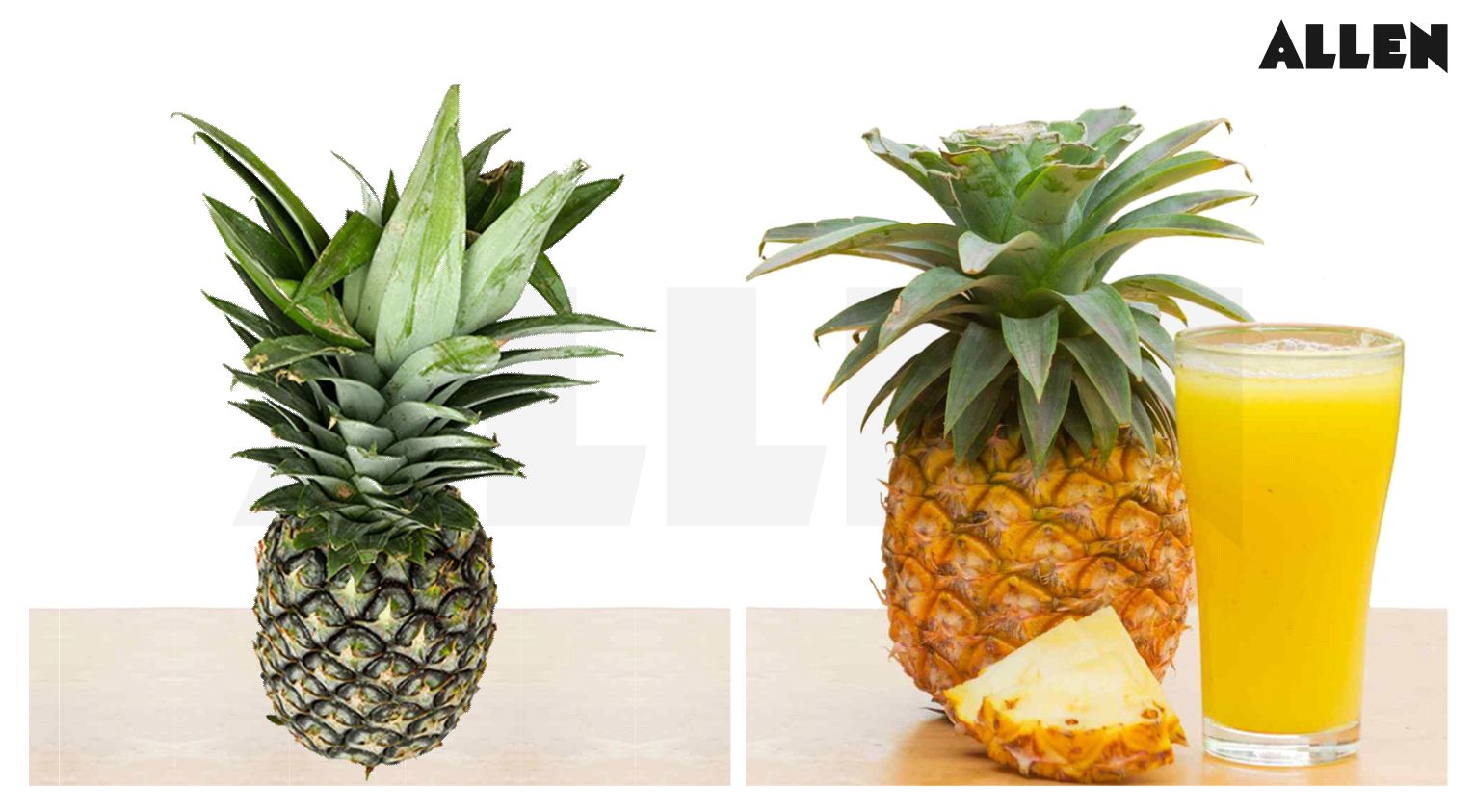 True Fruit, Classification and FAQs