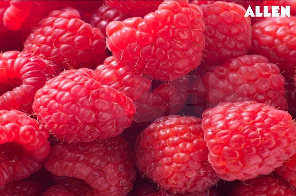 True Fruit, Classification and FAQs