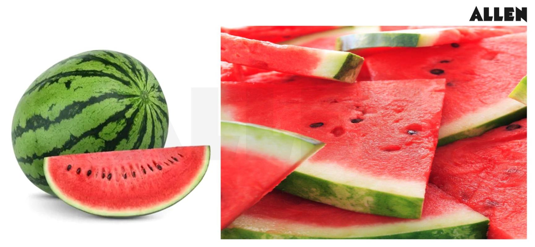 True Fruit, Classification and FAQs